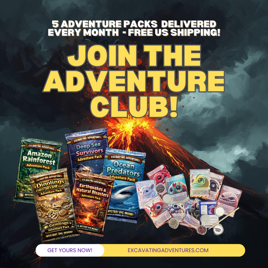 Adventure Club Subscription Plans – Excavating Adventures